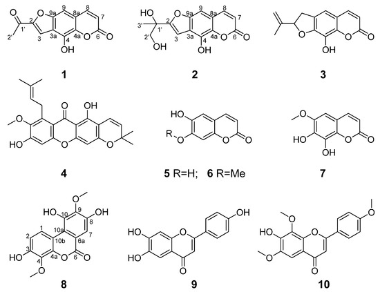 Molecules | Special Issue : Bioactive Compounds from Natural Sources ...