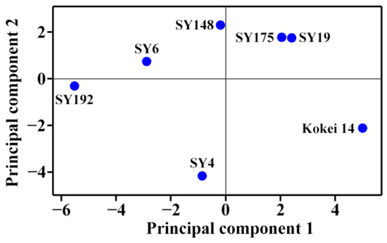 Relationships between X-ray Diffraction Peaks, Molecular Components ...