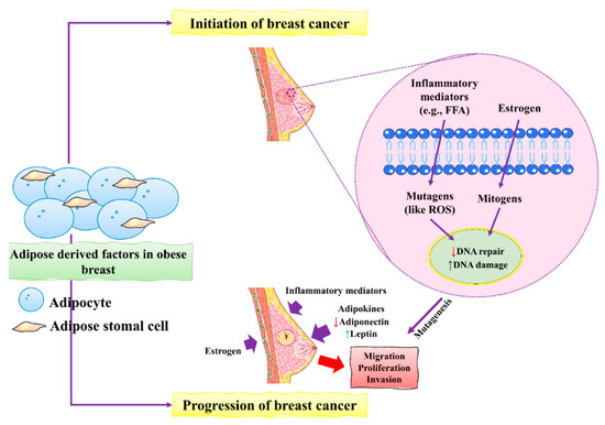 A Review of Twenty Years of Research on the Regulation of Signaling ...