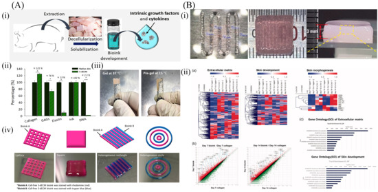 Molecules | Free Full-Text | Three-Dimensional Bioprinting of Decellularized Extracellular ...