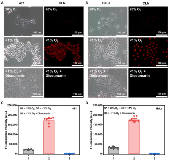 Molecules | Free Full-Text | Novel Lysosome-Targeting Fluorescence Off ...