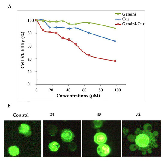 Molecules | Free Full-Text | Transcriptome Profiling of HCT-116 ...