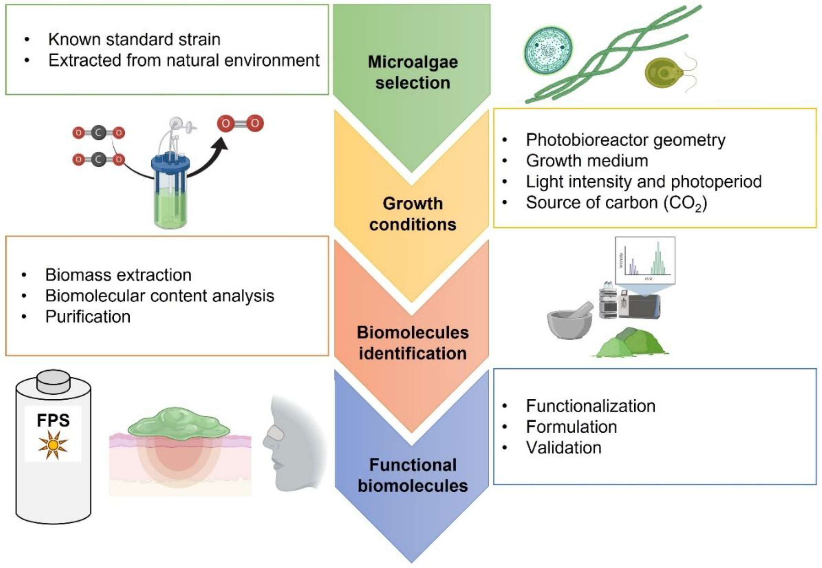 Microalgae Bioactive Compounds to Topical Applications Products—A Review