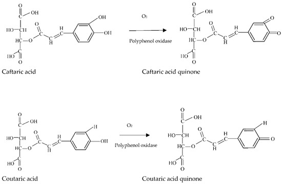 Wine Faults: State of Knowledge in Reductive Aromas, Oxidation and ...