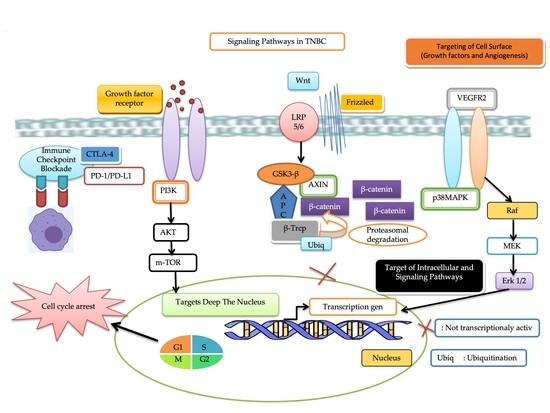 Molecules | Free Full-Text | Signaling Pathways and Natural Compounds ...