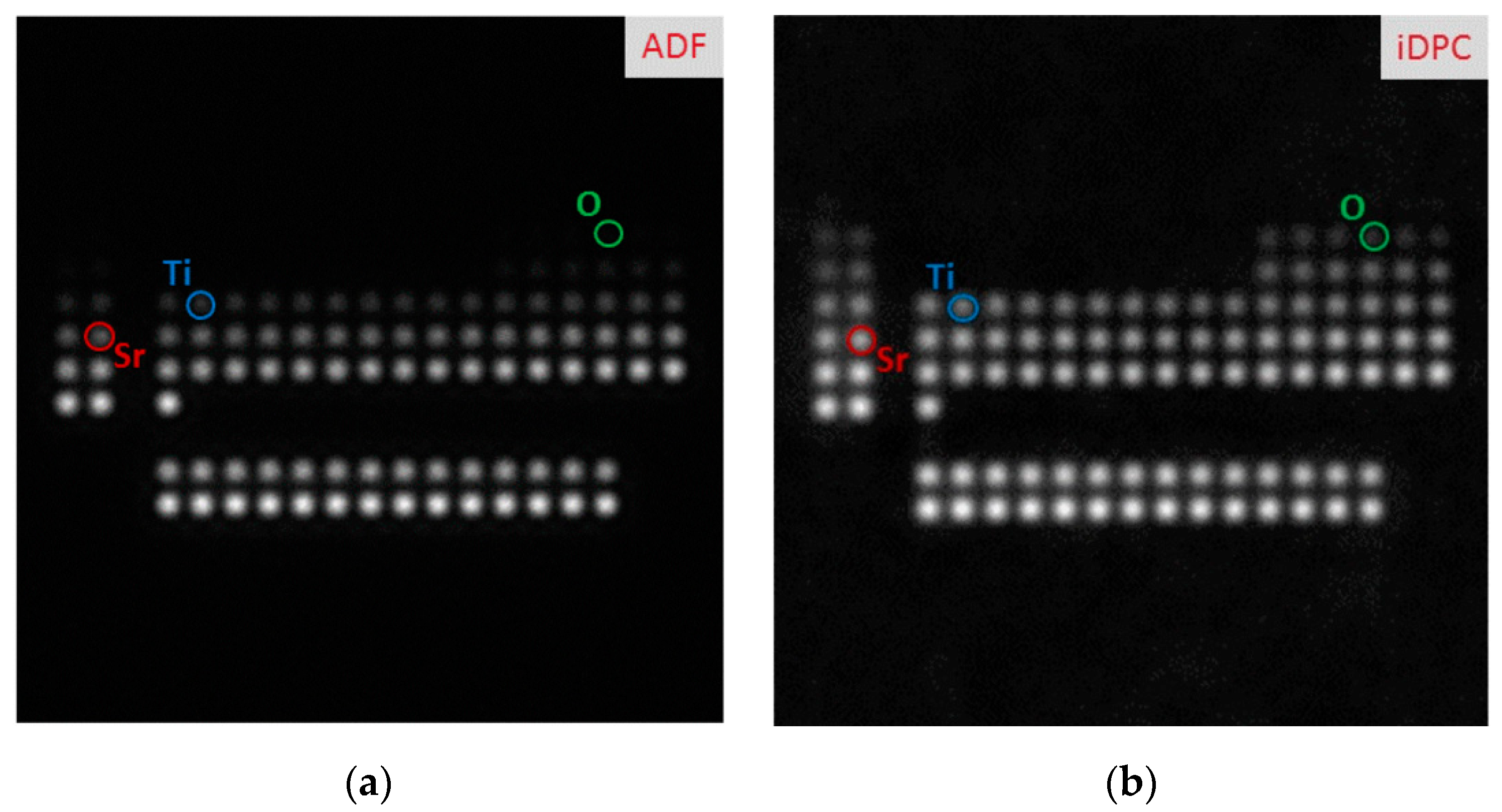 The Development of iDPC-STEM and Its Application in Electron Beam Sensitive Materials