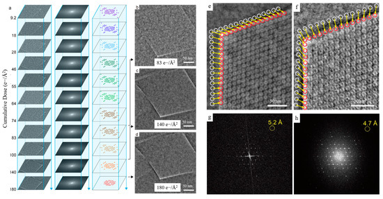 The Development of iDPC-STEM and Its Application in Electron Beam ...