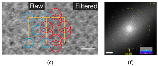 The Development of iDPC-STEM and Its Application in Electron Beam Sensitive Materials