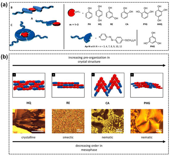 Recent Progress in Azopyridine-Containing Supramolecular Assembly: From ...