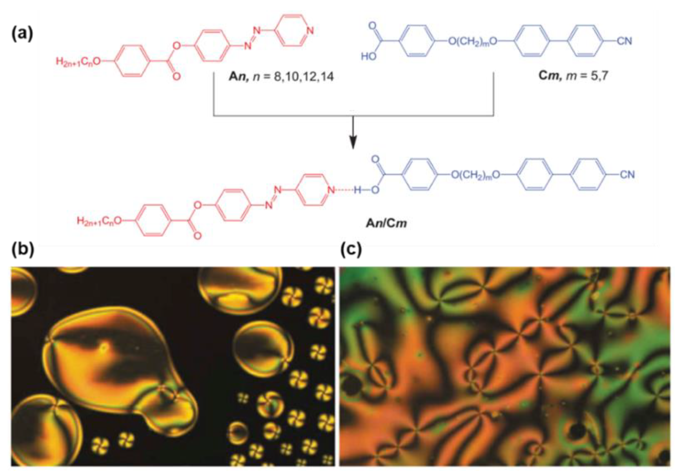 Recent Progress in Azopyridine-Containing Supramolecular Assembly: From ...