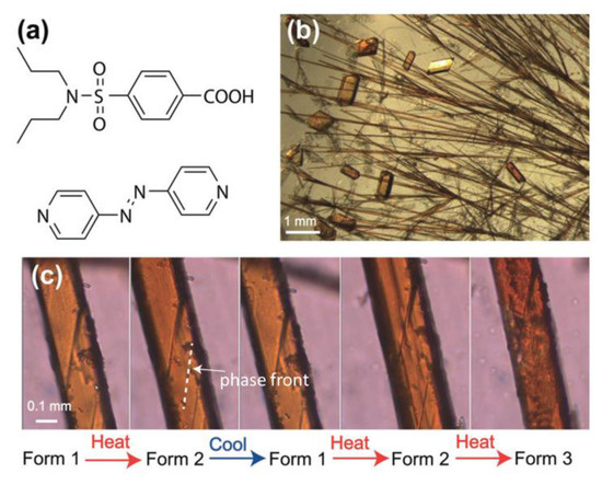 Recent Progress in Azopyridine-Containing Supramolecular Assembly: From ...