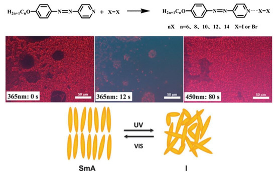 Recent Progress in Azopyridine-Containing Supramolecular Assembly: From ...