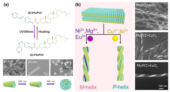 Recent Progress in Azopyridine-Containing Supramolecular Assembly: From ...