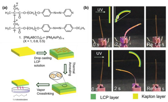 Recent Progress in Azopyridine-Containing Supramolecular Assembly: From ...