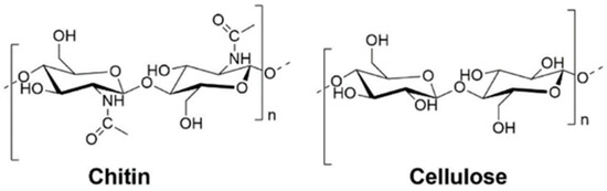 Deproteinization of Chitin Extracted with the Help of Ionic Liquids