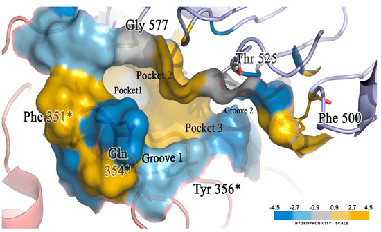 Molecules | Free Full-Text | Integration of Ligand-Based and Structure ...