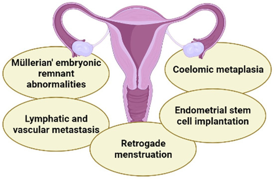 Endometriosis: A Disease with Few Direct Treatment Options