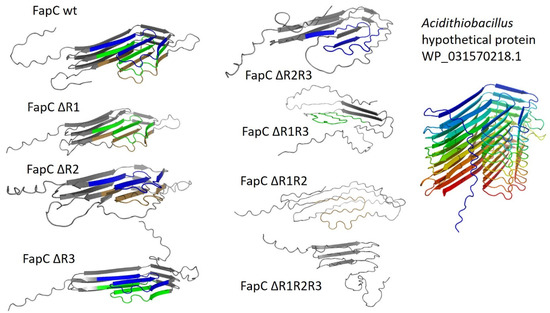 Functional Bacterial Amyloids: Understanding Fibrillation, Regulating ...