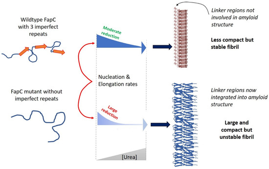 Functional Bacterial Amyloids: Understanding Fibrillation, Regulating ...