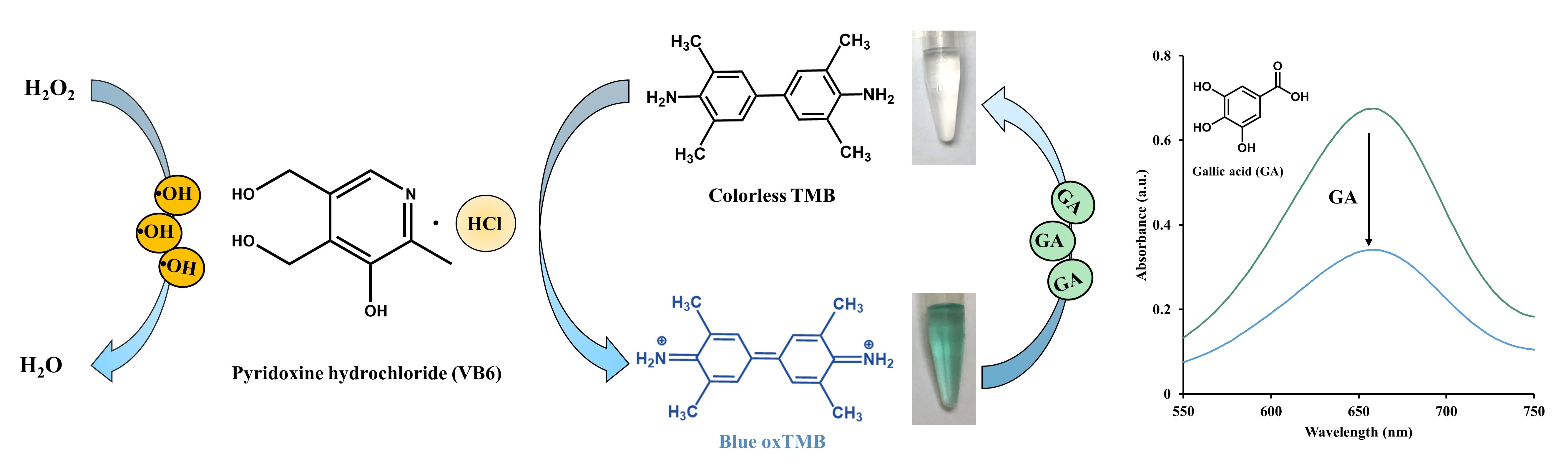Molecules | Free Full-Text | Investigation on the Peroxidase-like ...