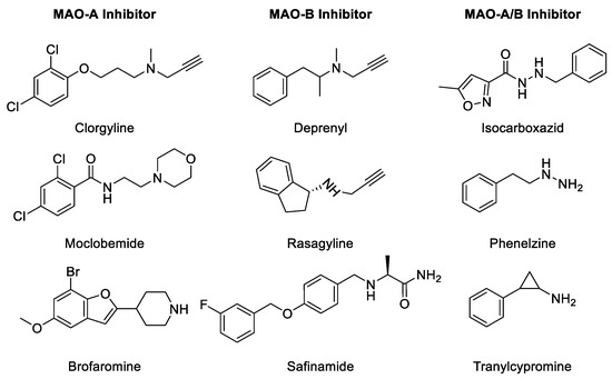 Natural Products Inhibitors of Monoamine Oxidases—Potential New Drug ...
