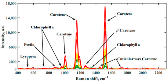 Raman Method in Identification of Species and Varieties, Assessment of ...