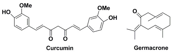 Molecules | Free Full-Text | Kinetic Characteristics of Curcumin and ...