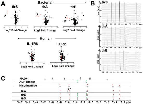 Molecules | An Open Access Journal from MDPI