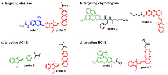 Development of Small-Molecule Fluorescent Probes Targeting Enzymes