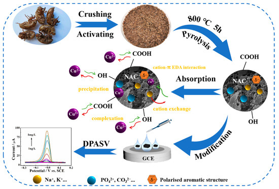 Facile Synthesis of Nitrogen Self-Doped Porous Carbon Derived from Cicada Shell via KOH ...