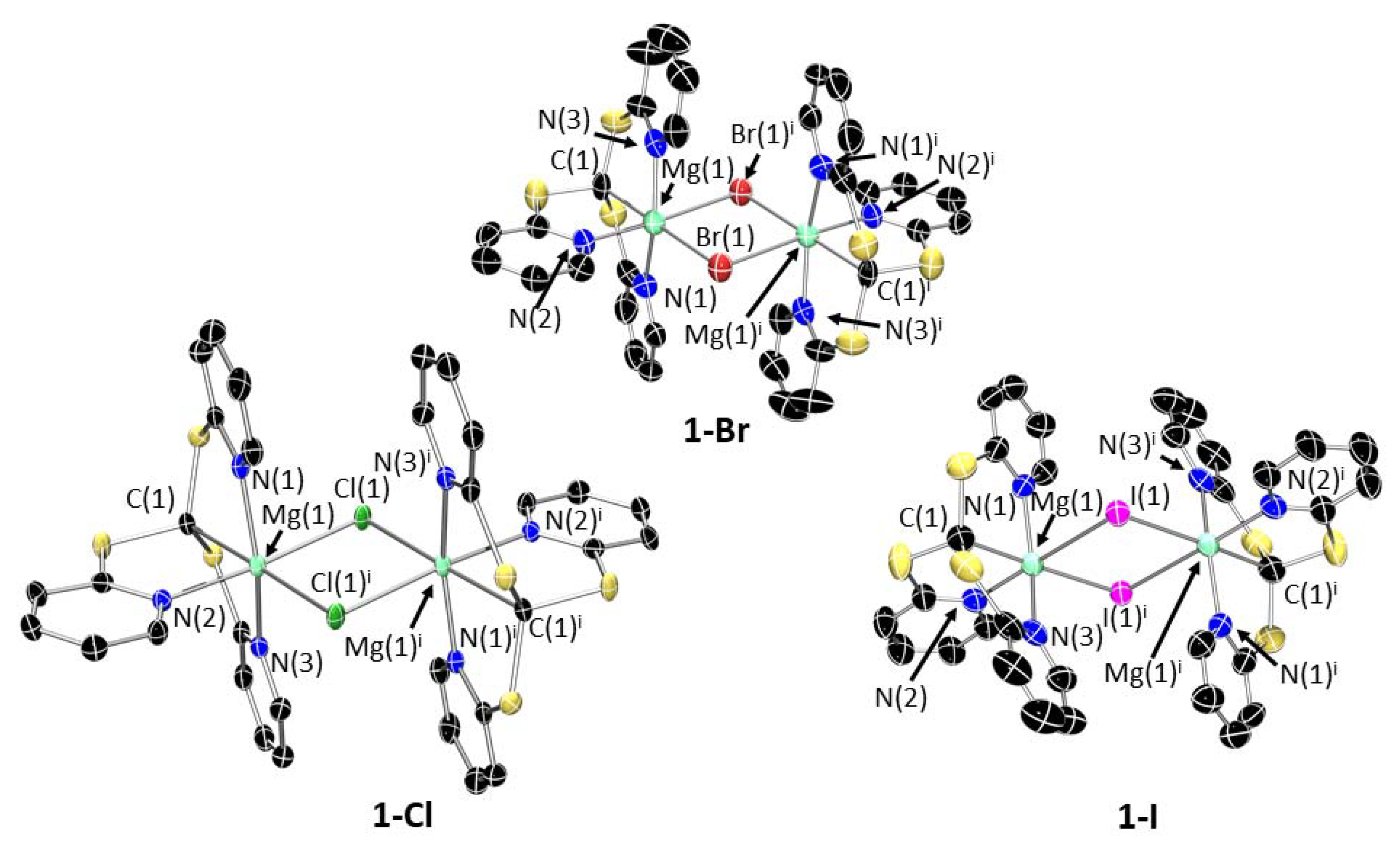 Structural Investigation of Magnesium Complexes Supported by a ...