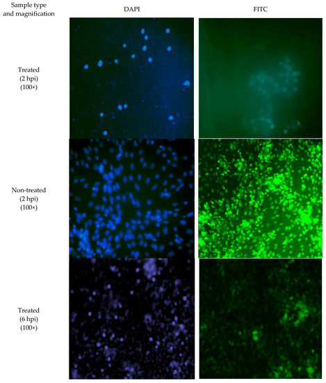 Molecules | An Open Access Journal from MDPI