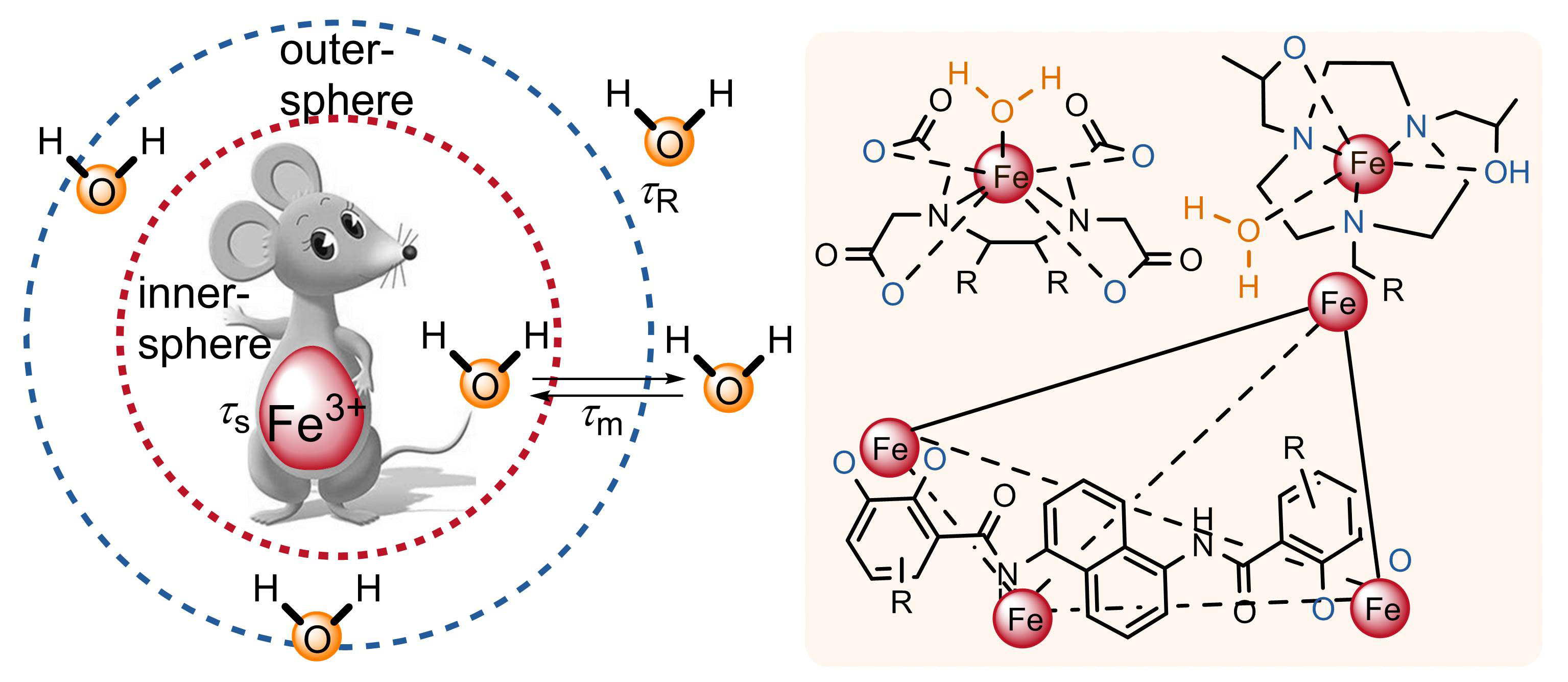 Molecules | Free Full-Text | Low-Molecular-Weight Fe(III) Complexes for ...