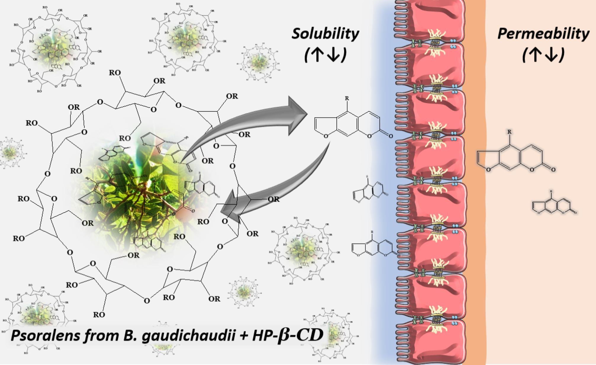 Molecules | Free Full-Text | Improvement in Solubility–Permeability ...