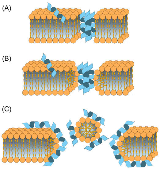 Lights and Shadows on the Therapeutic Use of Antimicrobial Peptides