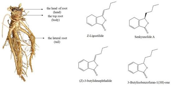 The Dynamic Accumulation Rules of Chemical Components in Different ...