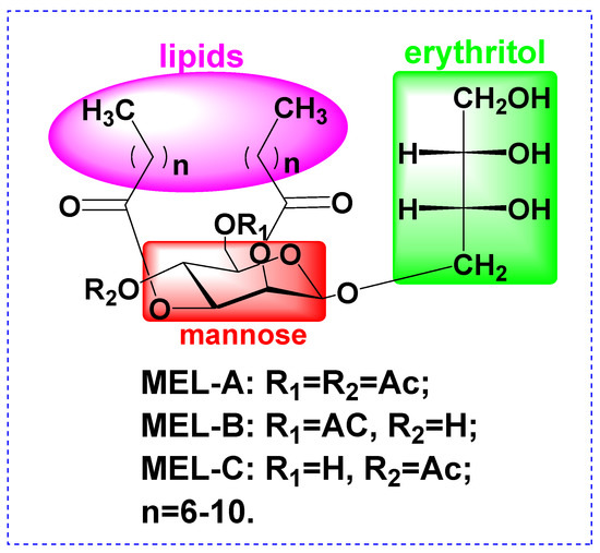 Screening and Research on Skin Barrier Damage Protective Efficacy of ...