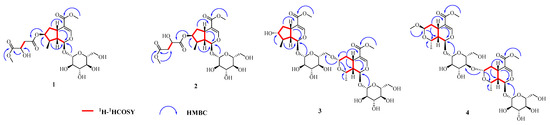 Neocornuside A–D, Four Novel Iridoid Glycosides from Fruits of Cornus ...