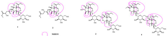 Neocornuside A–D, Four Novel Iridoid Glycosides from Fruits of Cornus ...