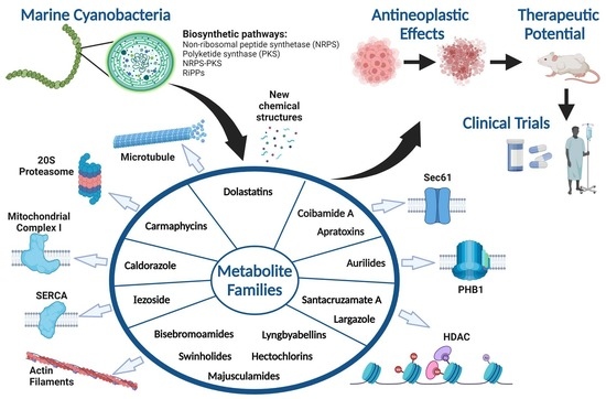 Molecules | An Open Access Journal from MDPI