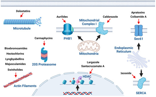 Molecules | An Open Access Journal from MDPI