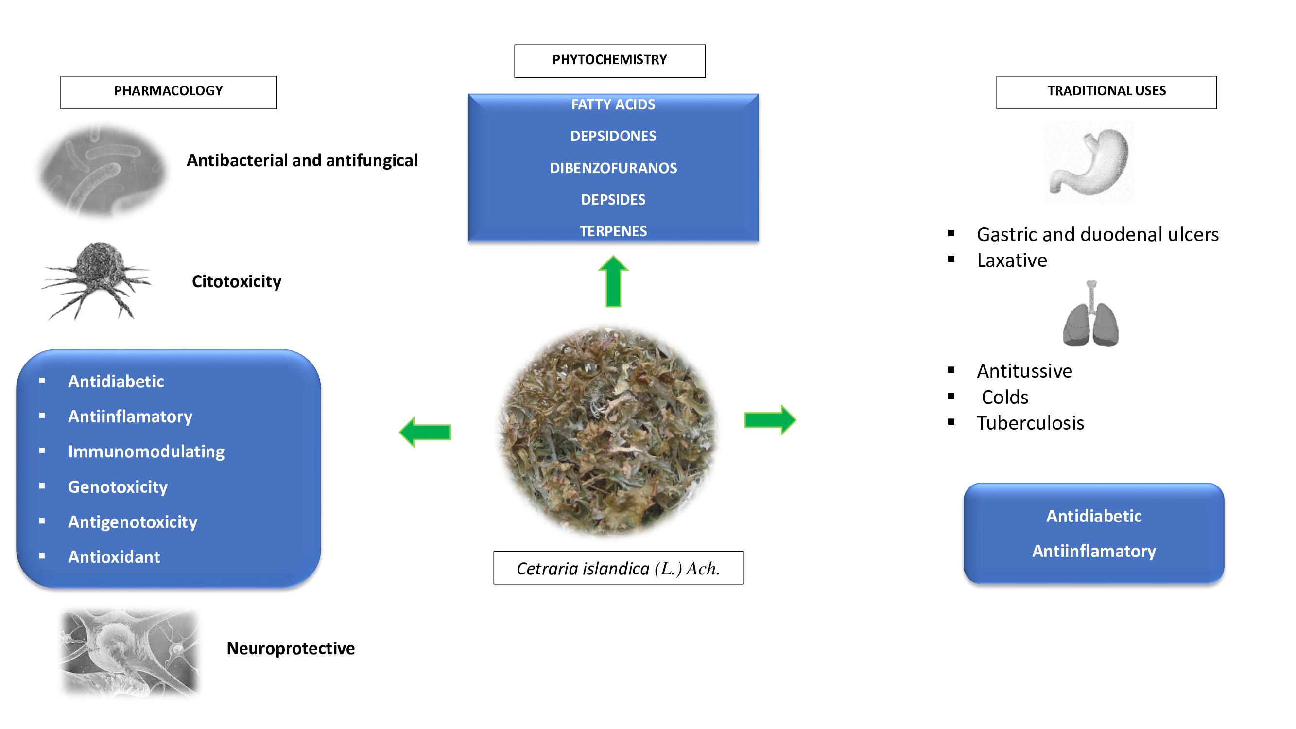 Molecules | Free Full-Text | The Genus Cetraria s. str.—A Review of Its ...