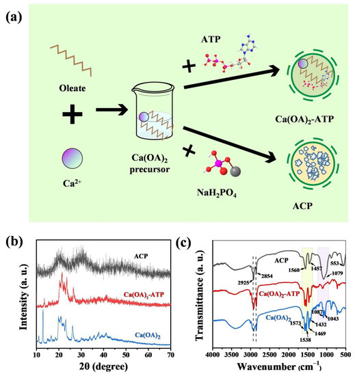 Microwave-Assisted Hydrothermal Rapid Synthesis of Ultralong ...