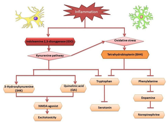 Pathophysiology of Depression: Stingless Bee Honey Promising as an ...