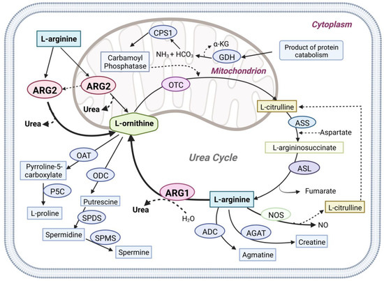 Virtual Screening for FDA-Approved Drugs That Selectively Inhibit ...