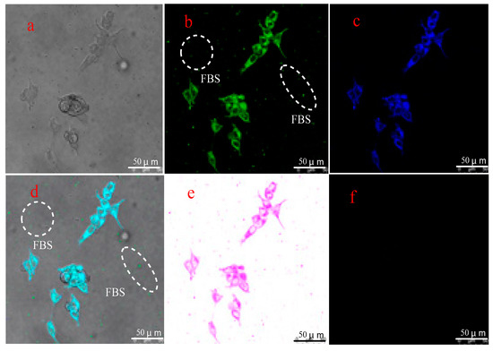 Molecules | An Open Access Journal from MDPI