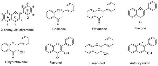 Maize Flavonoid Biosynthesis, Regulation, and Human Health Relevance: A ...