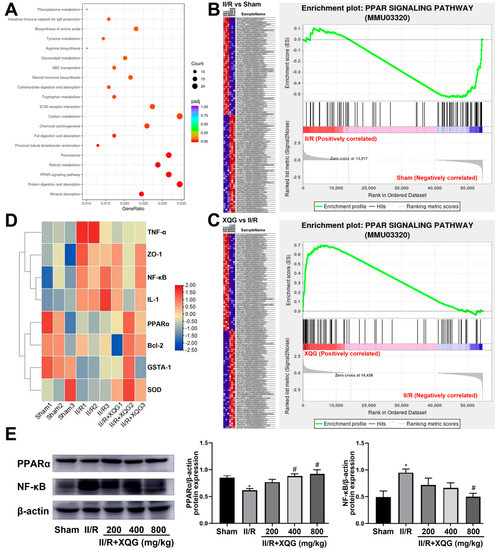 Molecules | An Open Access Journal from MDPI