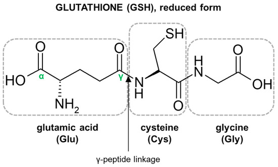 Glutathione-Mediated Conjugation of Anticancer Drugs: An Overview of ...