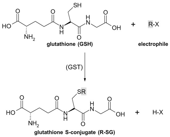 Glutathione-Mediated Conjugation of Anticancer Drugs: An Overview of ...